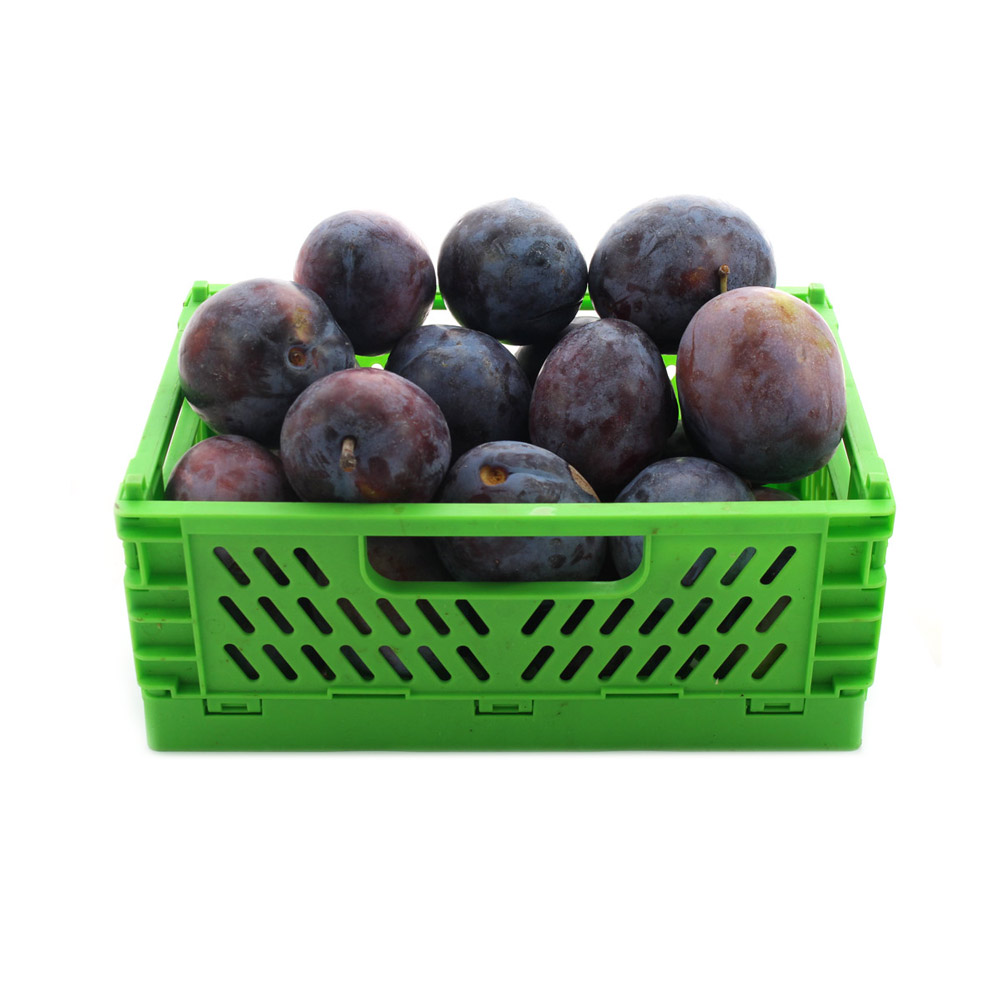 Susine grossa Felisio kg1 circa - www.tiportolaspesa.it